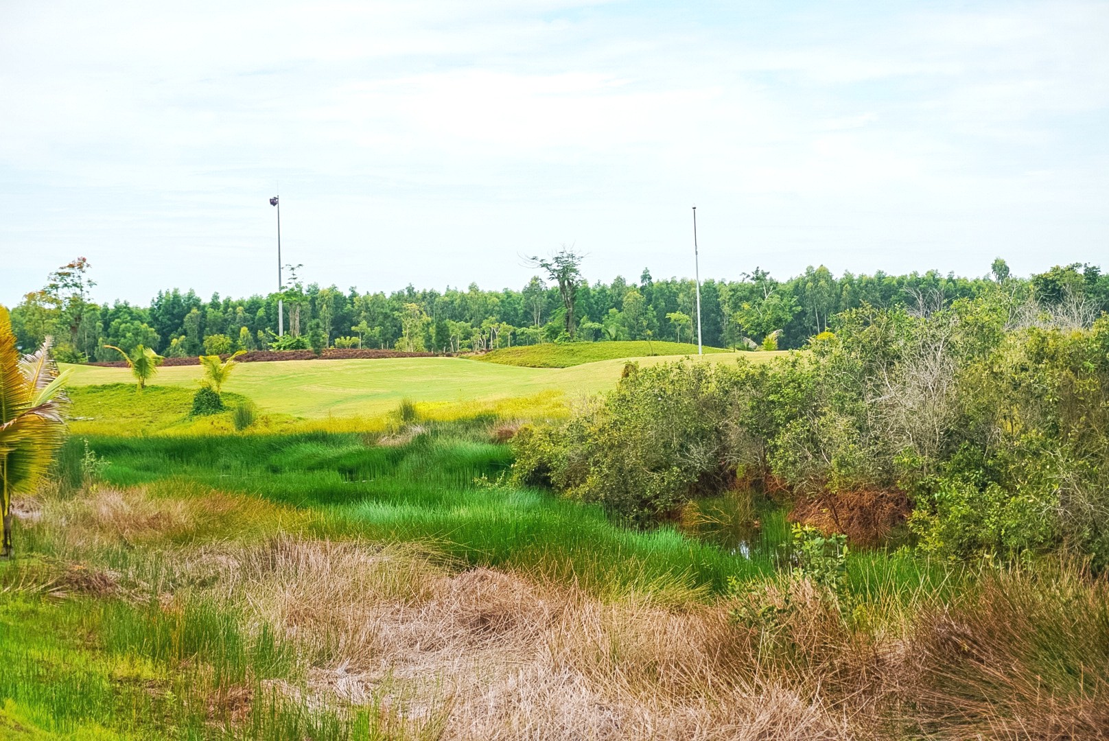 Royal Long An Golf & Villas: Trải nghiệm mới lạ với green ấn tượng